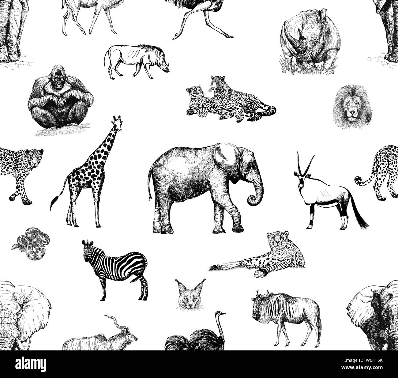 Blue wildebeest Stock Vector Images - Alamy