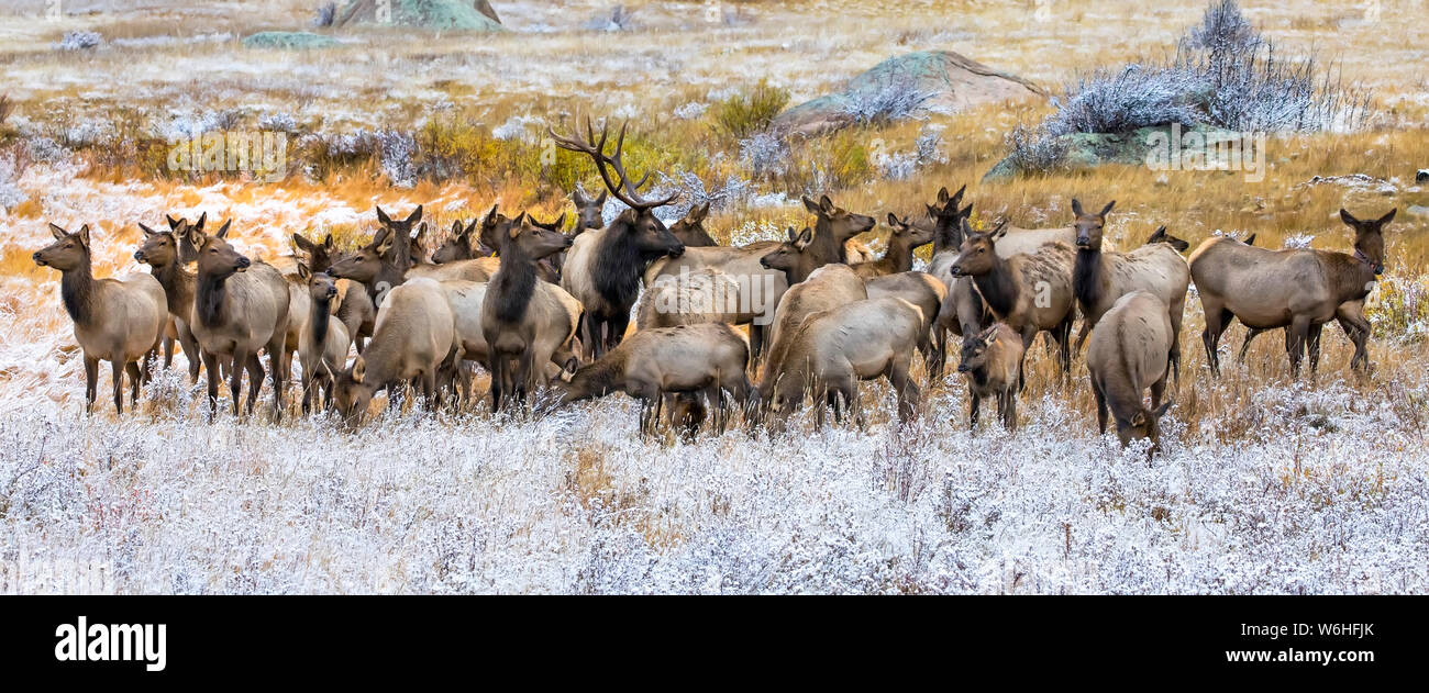 Group groups together togetherness hi-res stock photography and images ...