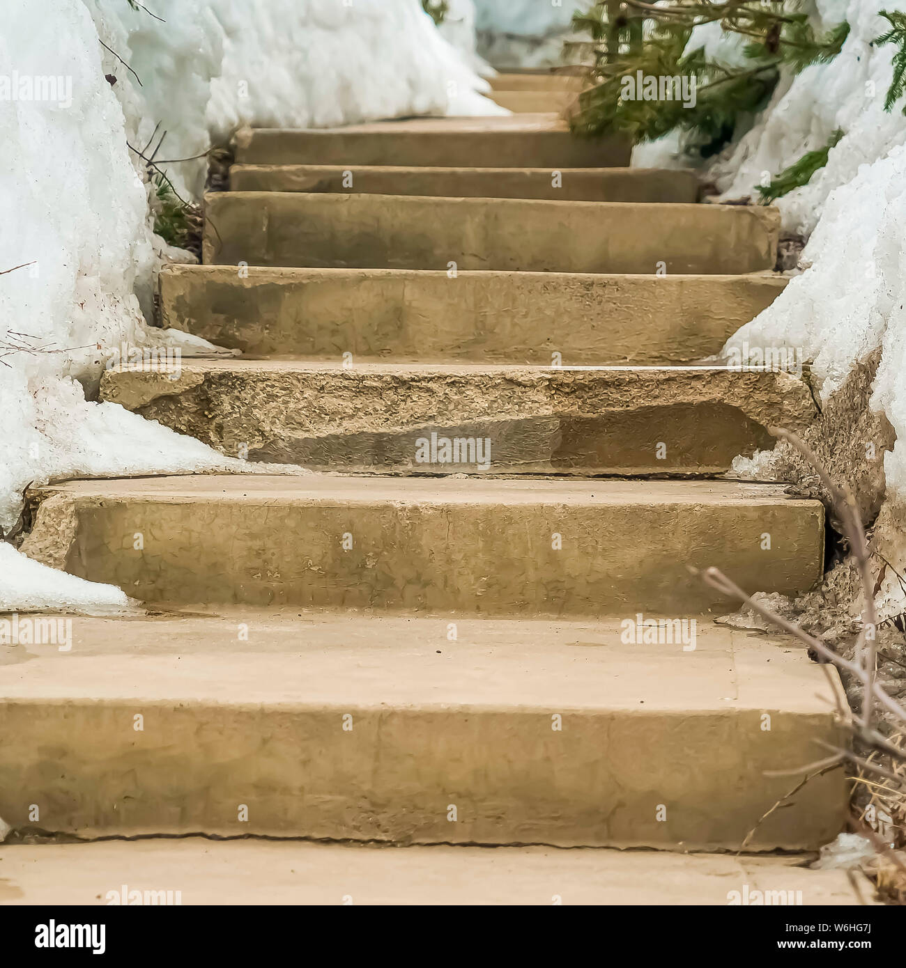 Square Close up of concrete outdoor steps on a slope covered with fresh ...