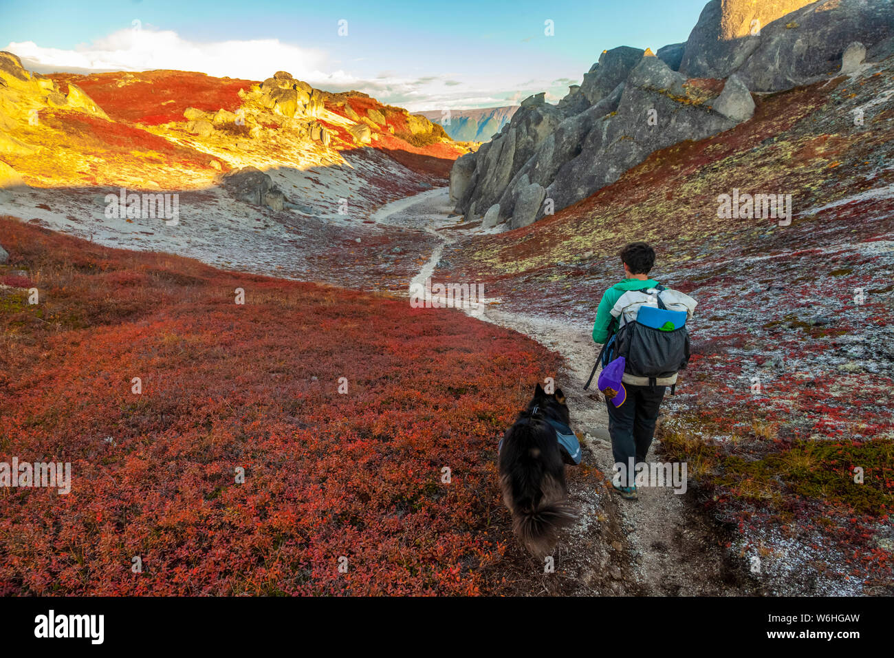 Female backpacker backpacking dog hi-res stock photography and images ...