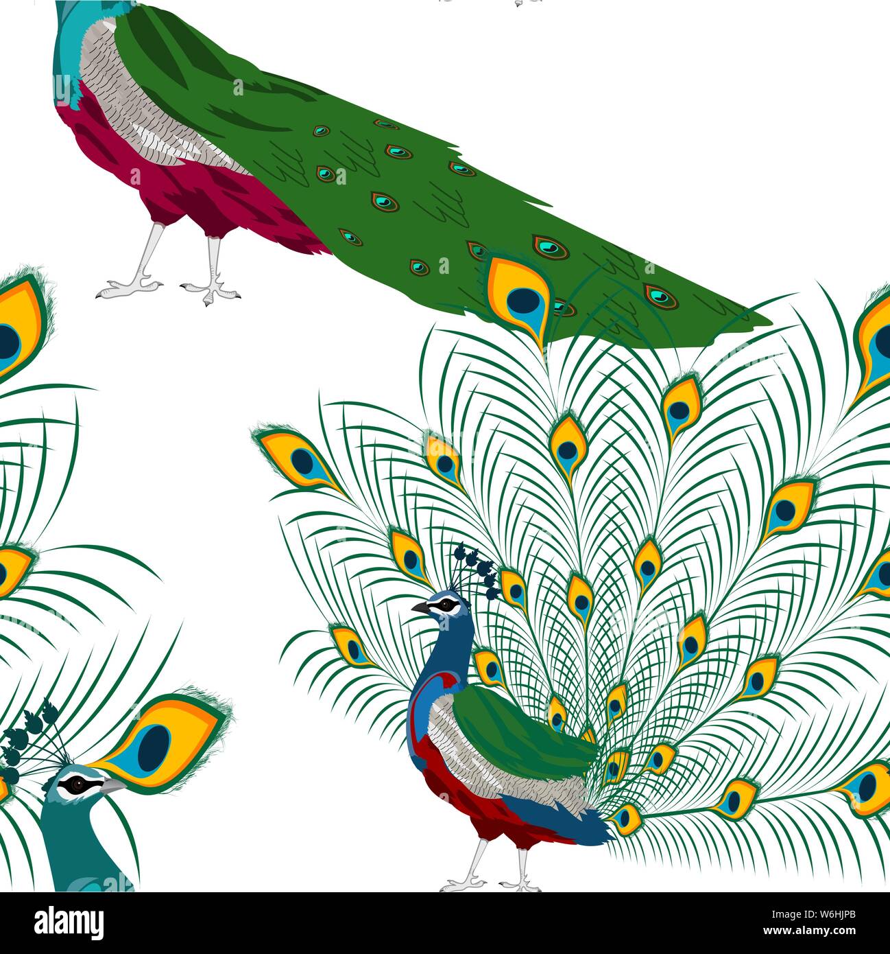 Seamless vector pattern with peacocks Stock Vector Image & Art - Alamy