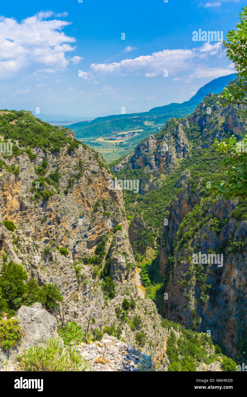 Oiti hi-res stock photography and images - Alamy