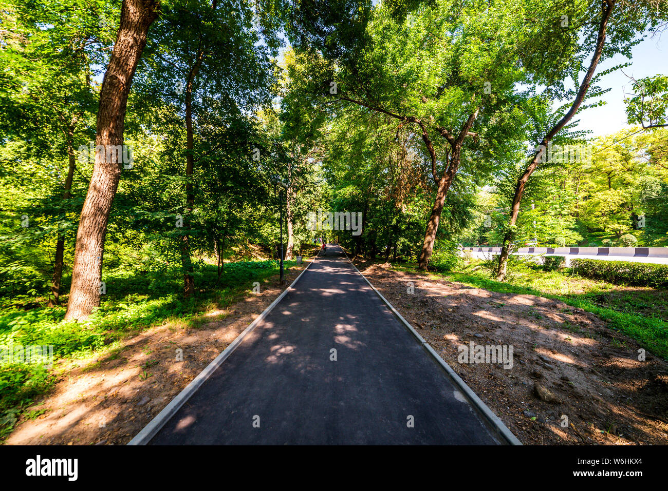 Asphalt walking path through the city park Stock Photo - Alamy