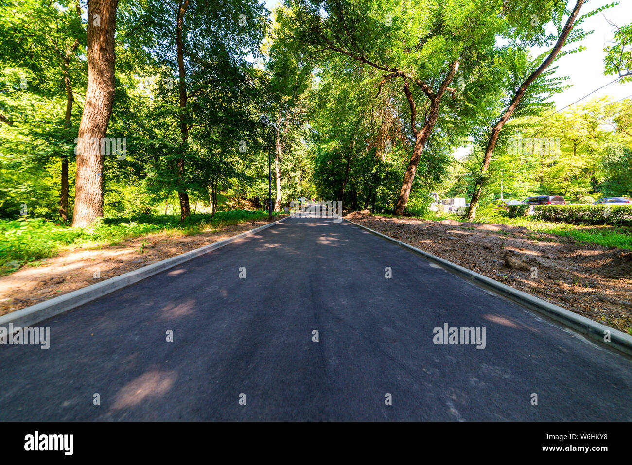 Walking through woods sunrays hi-res stock photography and images - Alamy