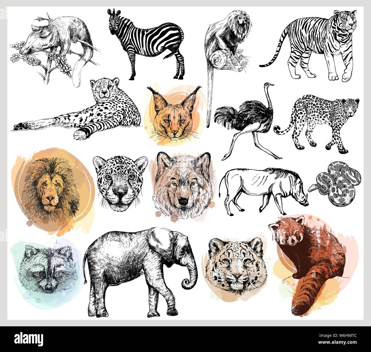 Big set of hand drawn sketch style wild animals isolated on white ...