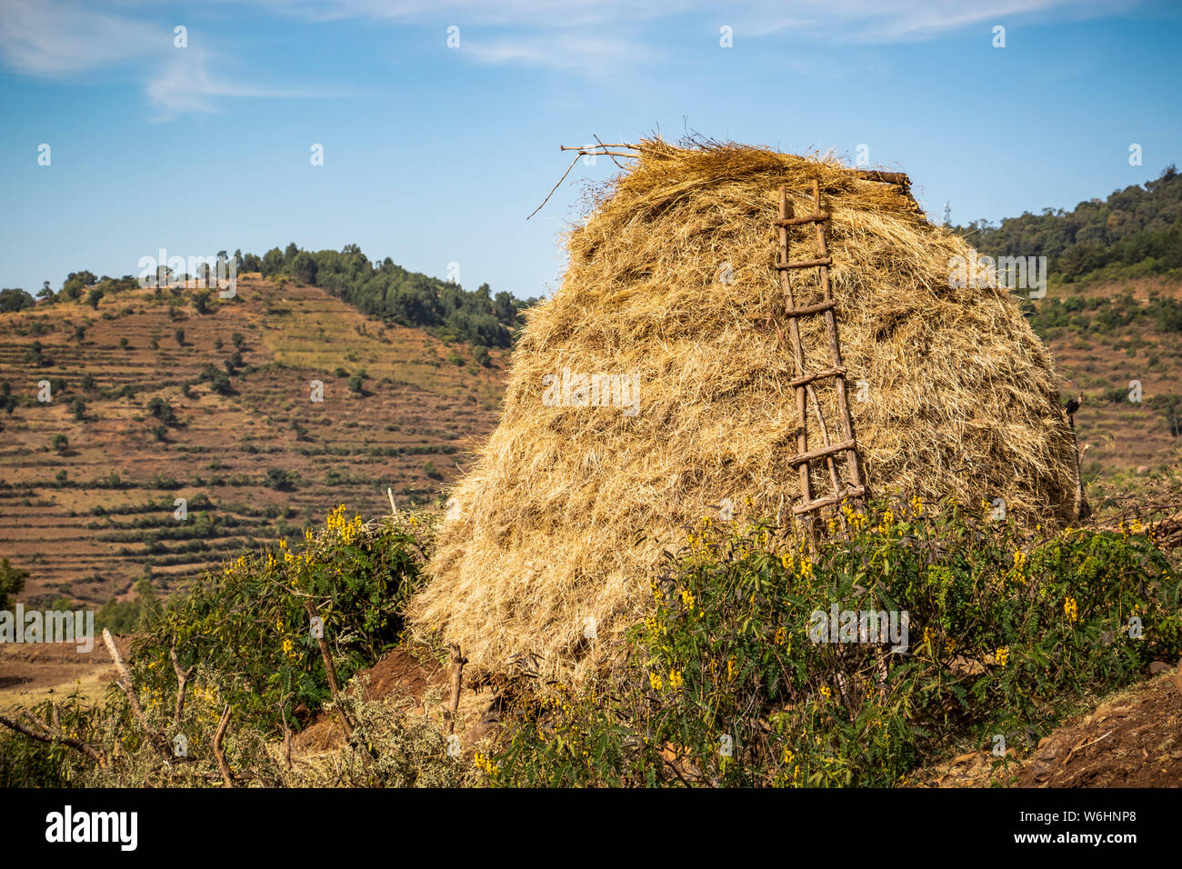 Rocky outcrop covered with straw and a ladder leaning against it; Addis ...