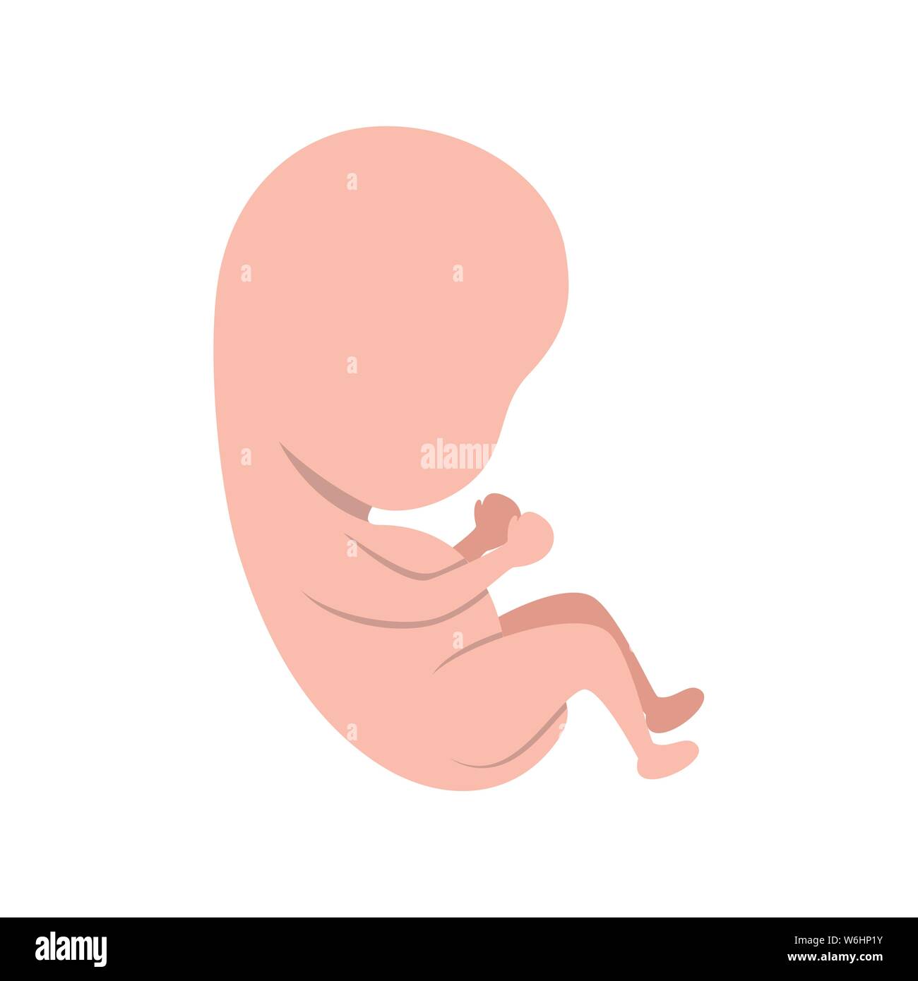 Clip Art Of Fetus High Resolution Stock Photography and Images - Alamy