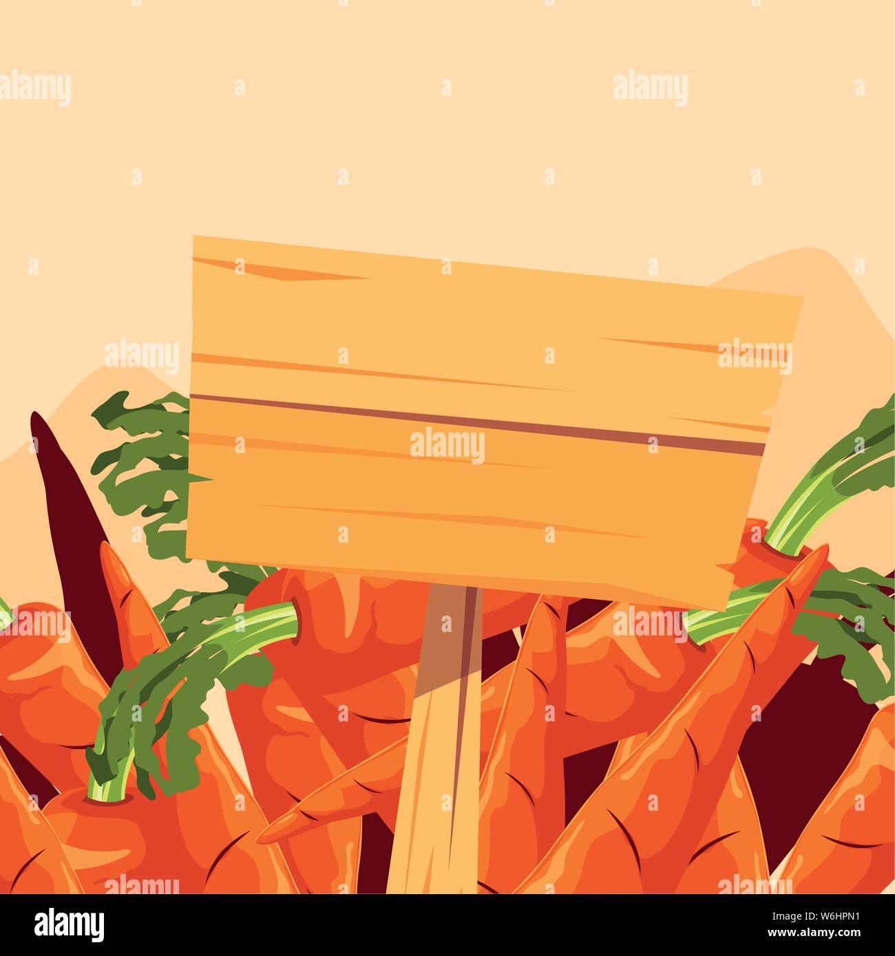 carrot fresh vegetable farm wooden placard vector illustration Stock ...