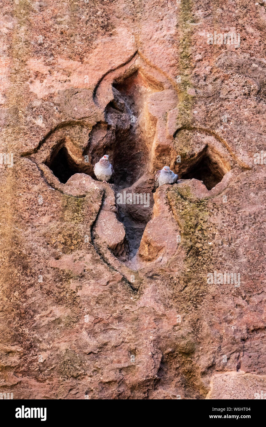 Cruciform window in the Tomb of Adam in the Northern Group of the Rock ...