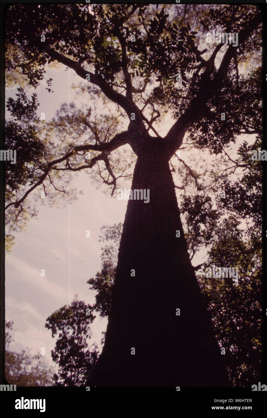 Land Development At Key Largo High Resolution Stock Photography and ...