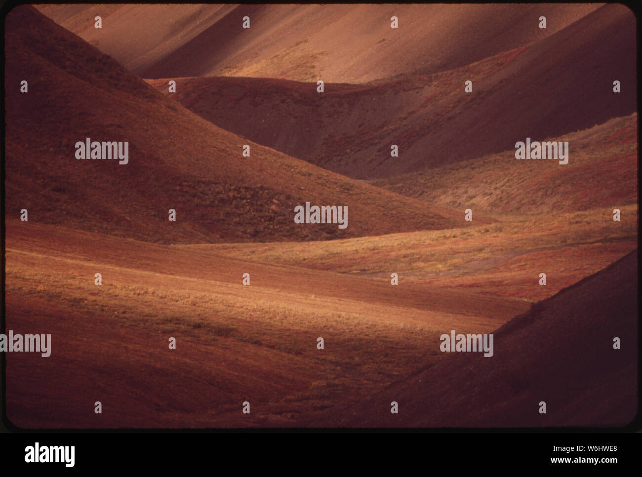 INTERLOCKING FINGERS OF TUNDRA KNIT AUTUMN COLORS TOGETHER IN THE ...