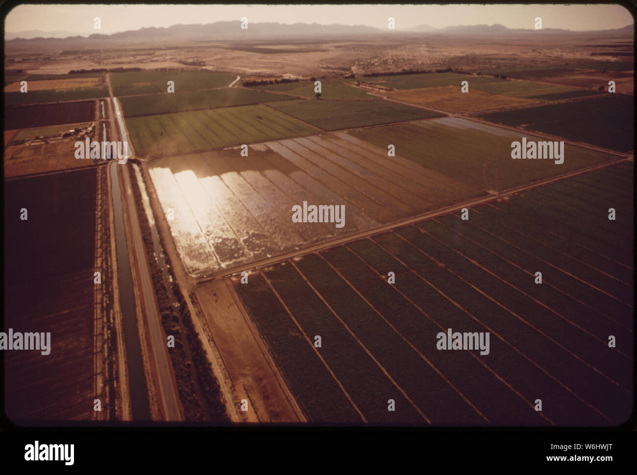 IRRIGATED FIELDS NEAR PARKER Stock Photo - Alamy