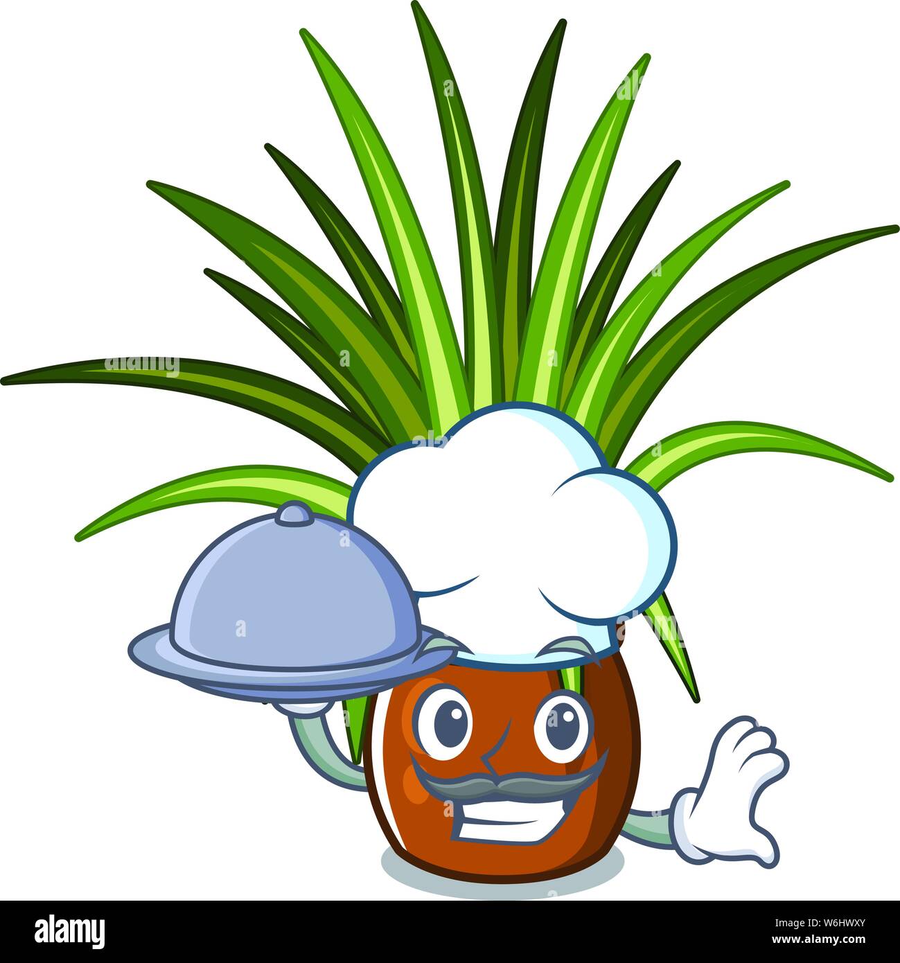 Chef with food spider plants in a cartoon pots Stock Vector Image & Art ...