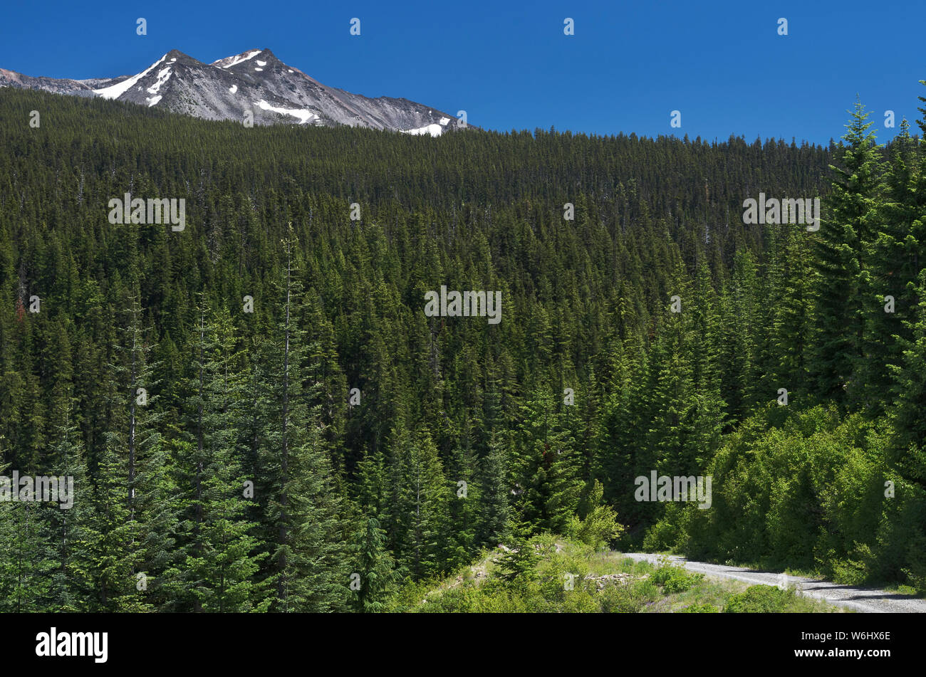 Calapooya mountains hi-res stock photography and images - Alamy