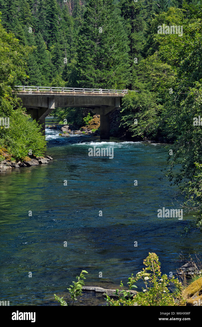 Douglas state forest hi-res stock photography and images - Alamy
