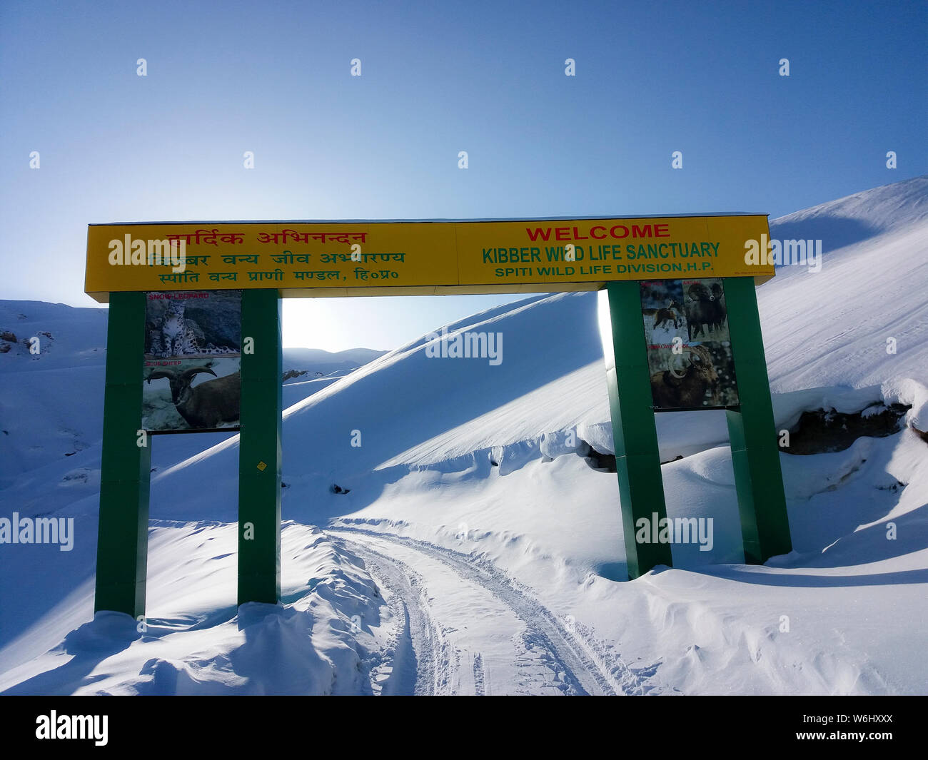 Kibber is a village high in the spiti valley in the himalayas in ...