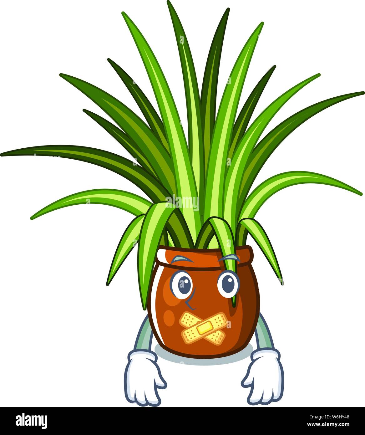 Sensitive plants Cut Out Stock Images & Pictures - Alamy