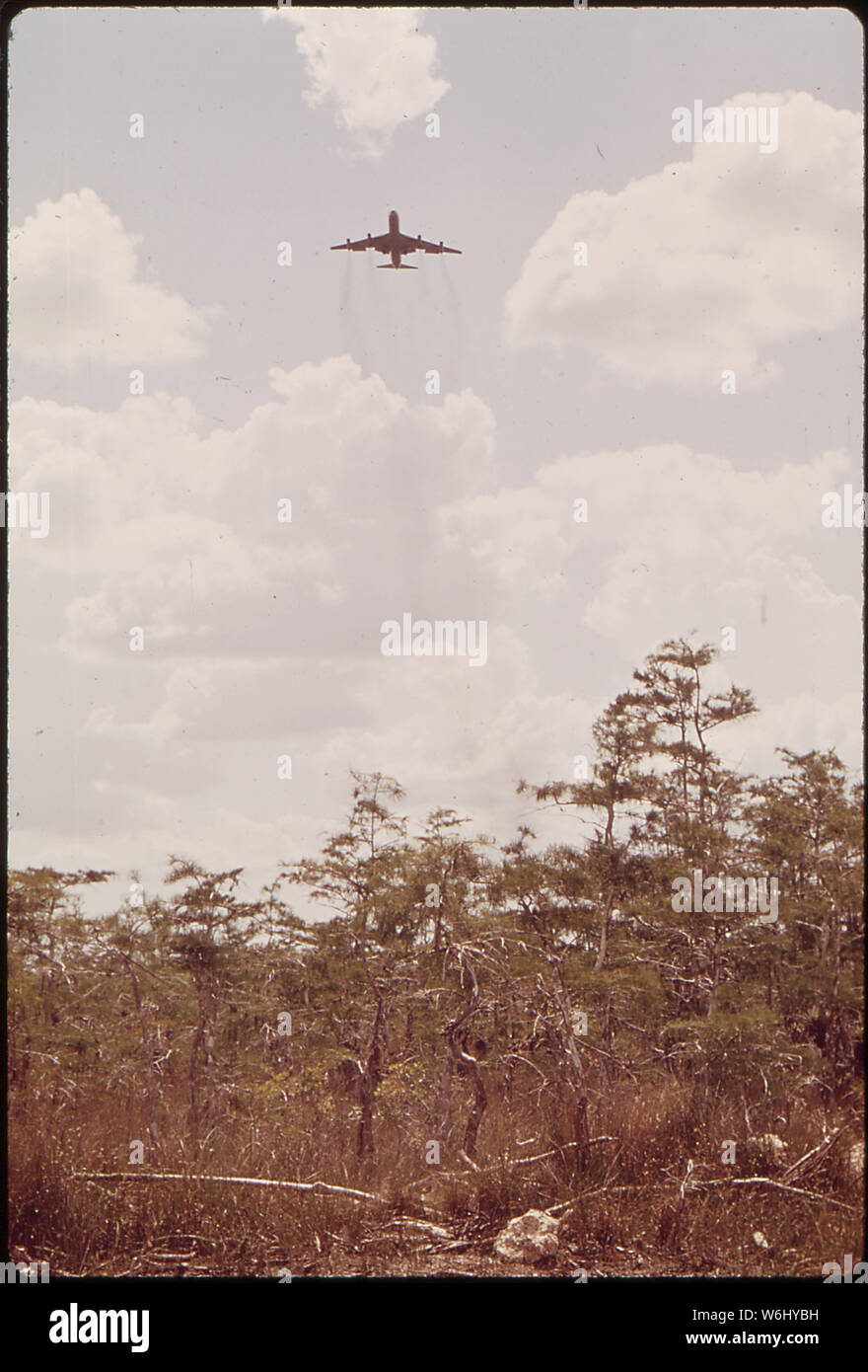 JET TAKES OFF FROM MIAMI-DADE JETPORT IN EVERGLADES Stock Photo - Alamy