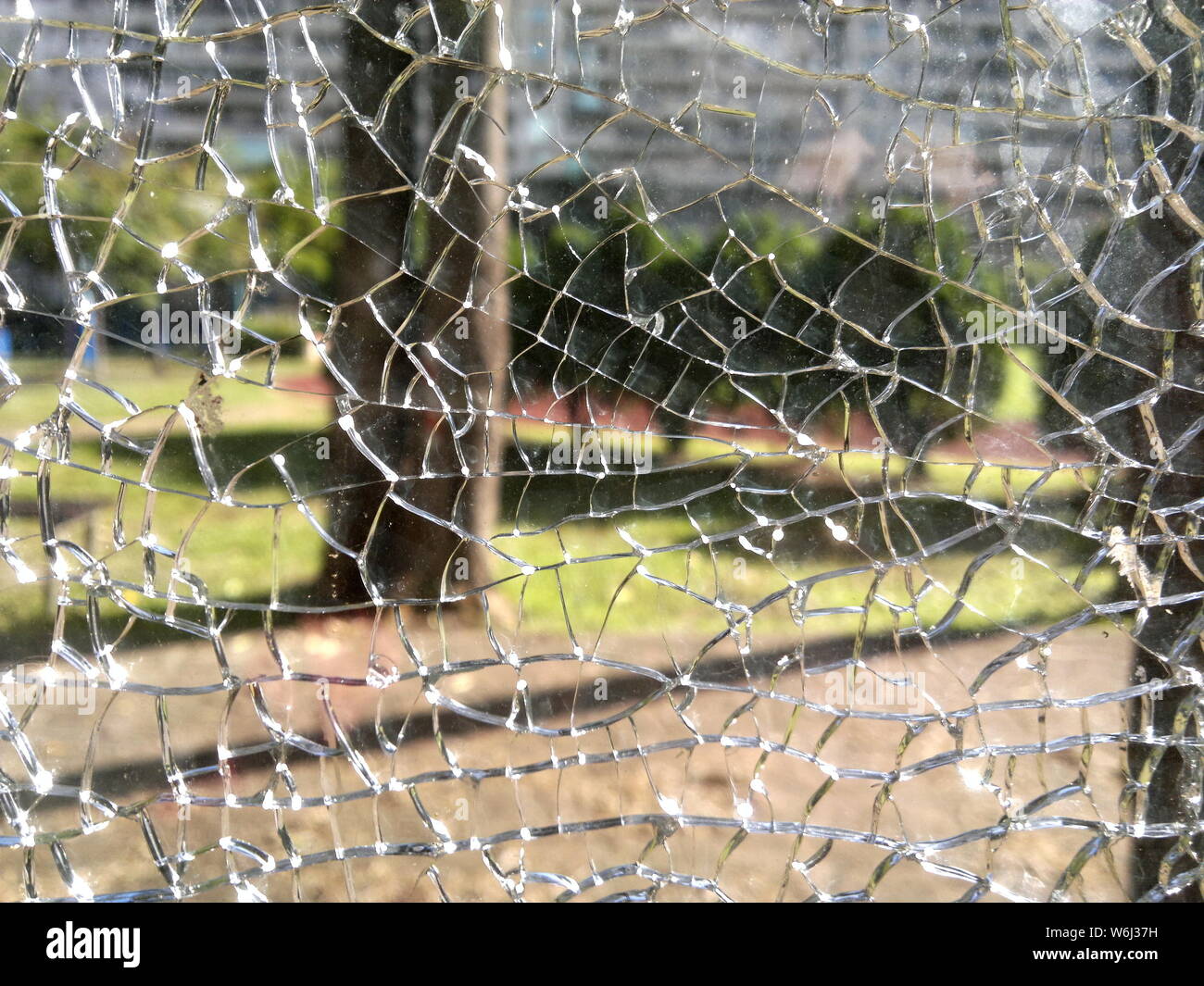 A view into garden through a broken glass window Stock Photo - Alamy
