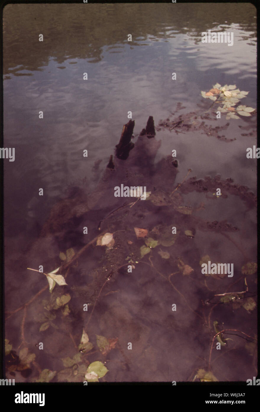 LAKE IN THE HA HA TONKA REGION, ONE OF TWO FORMED BY GUNTER'S BIG ...