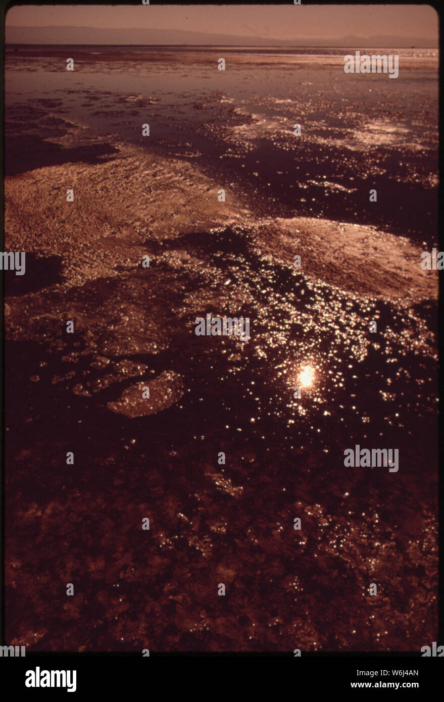 LESLIE SALT PONDS Stock Photo - Alamy