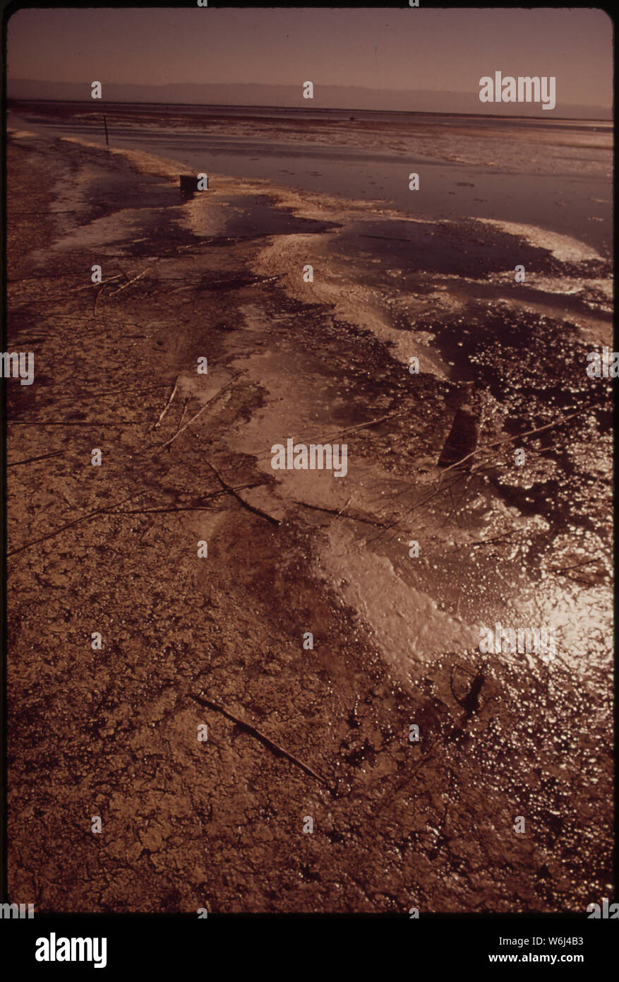 LESLIE SALT PONDS Stock Photo - Alamy
