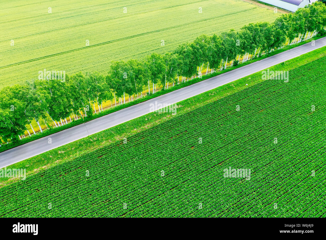 Aerial Photography of Field Stock Photo - Alamy
