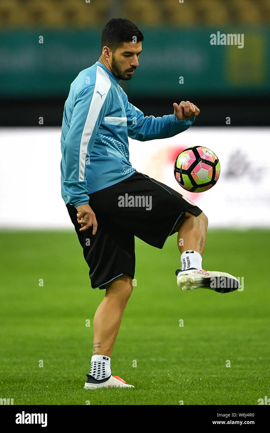 Luis Suarez of Uruguay national football team takes part in a training ...