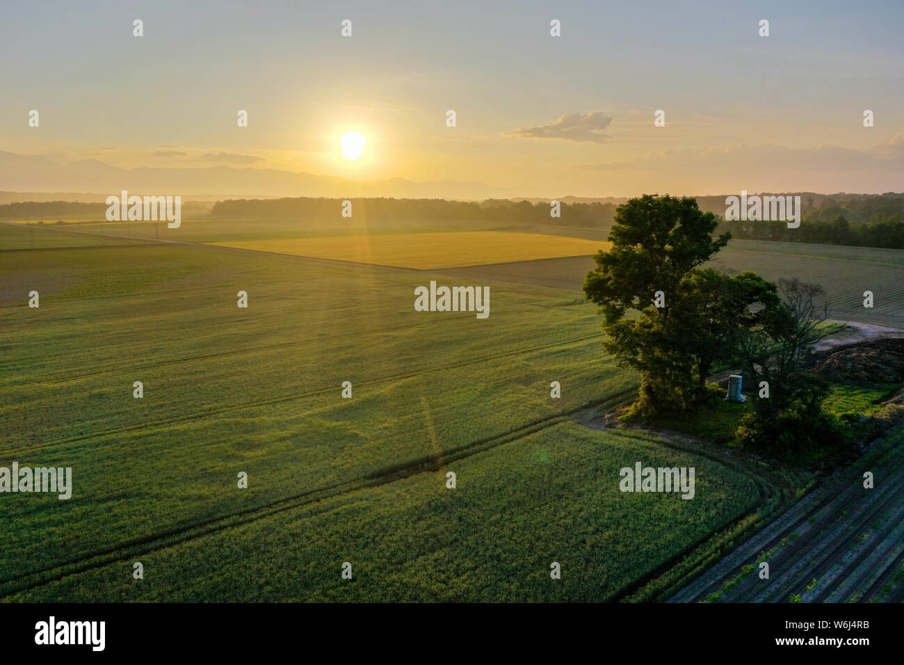 Field at sunset Stock Photo - Alamy