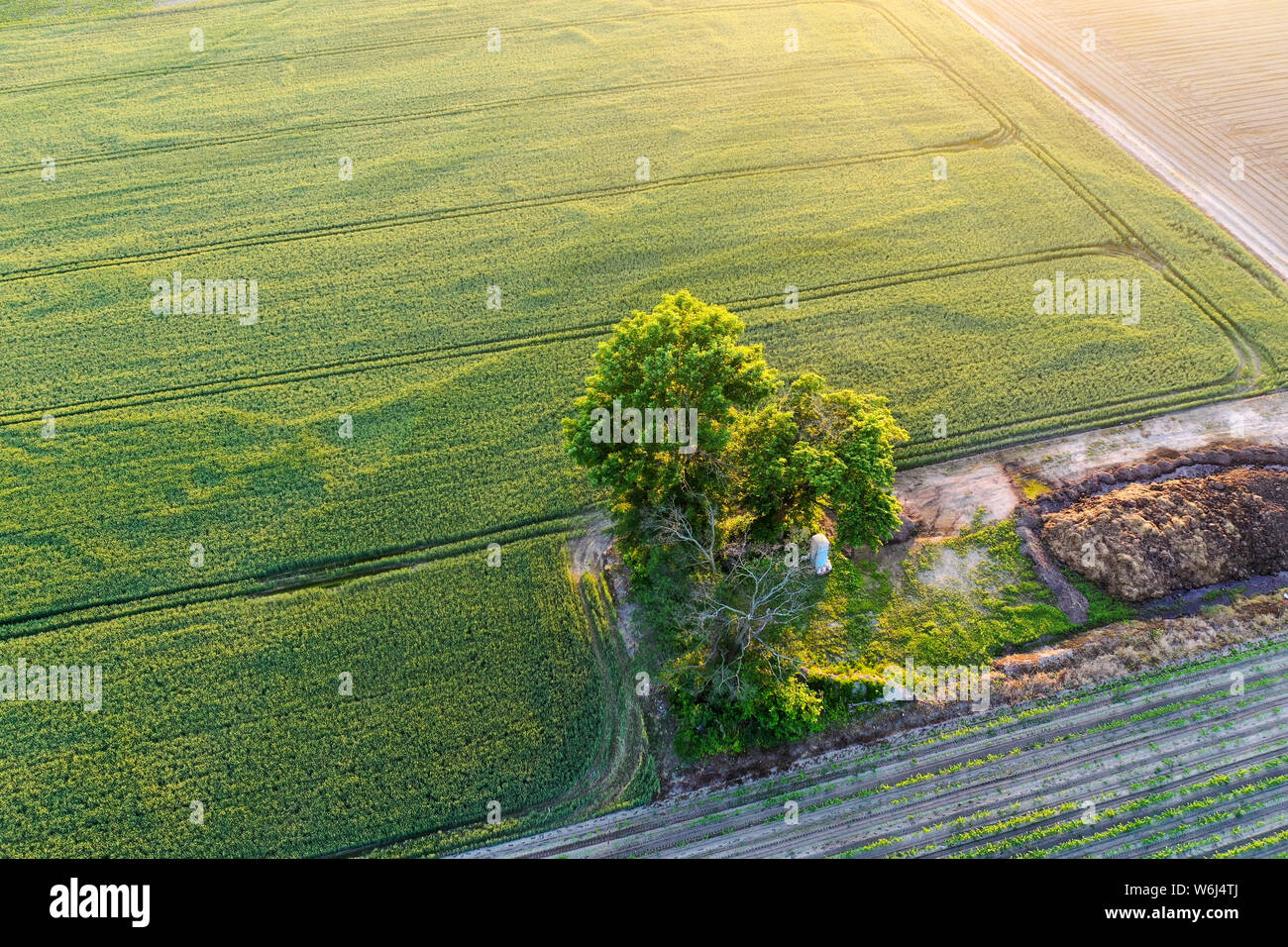 Field at sunset Stock Photo - Alamy