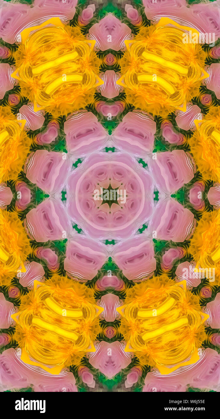 Boa circle hi-res stock photography and images - Alamy