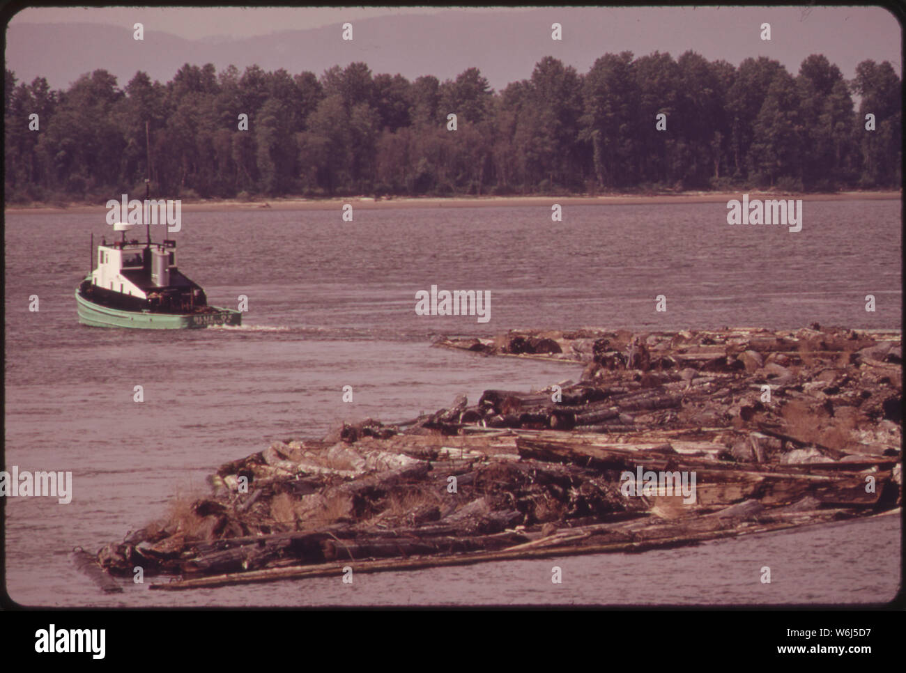 LOG BOOM WITH TUG ON THE COLUMBIA RIVER Stock Photo - Alamy