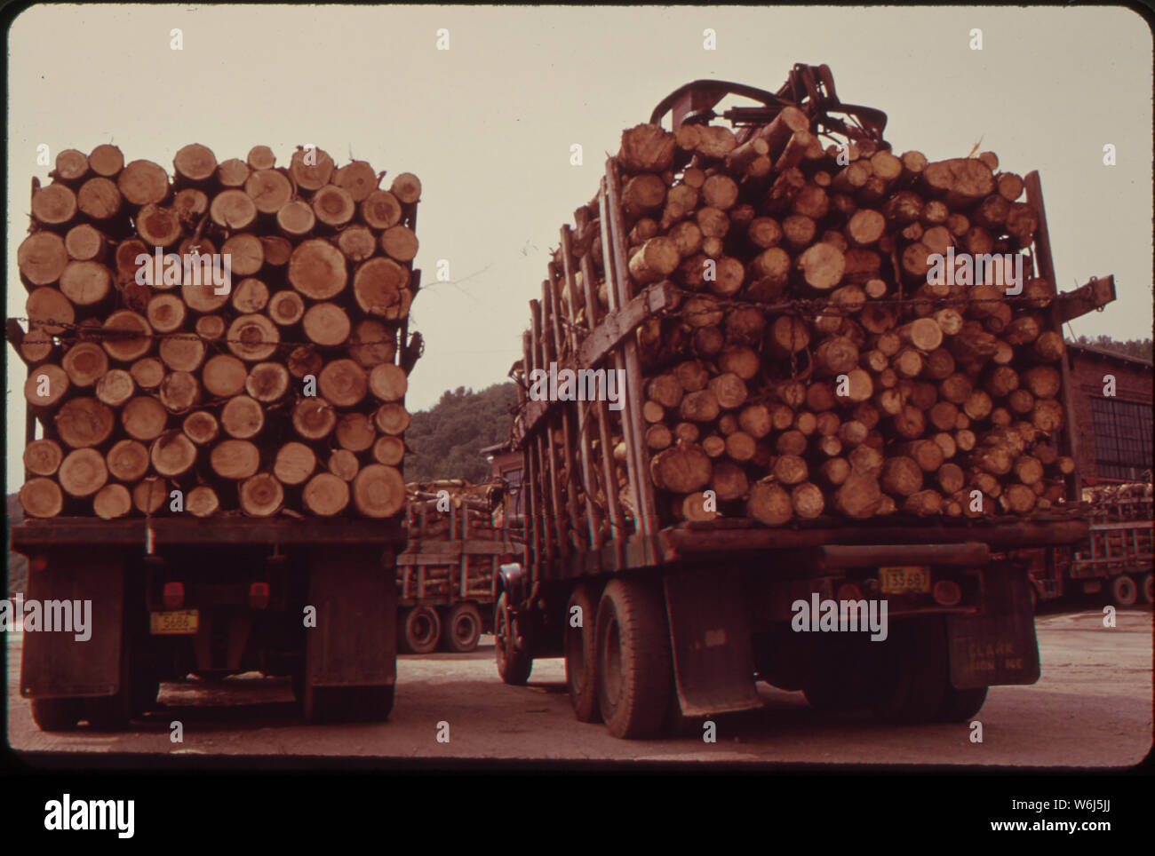 LOGGING TRUCKS CHECKING IN AT THE OXFORD PAPER MILL AT RUMFORD ON THE ...