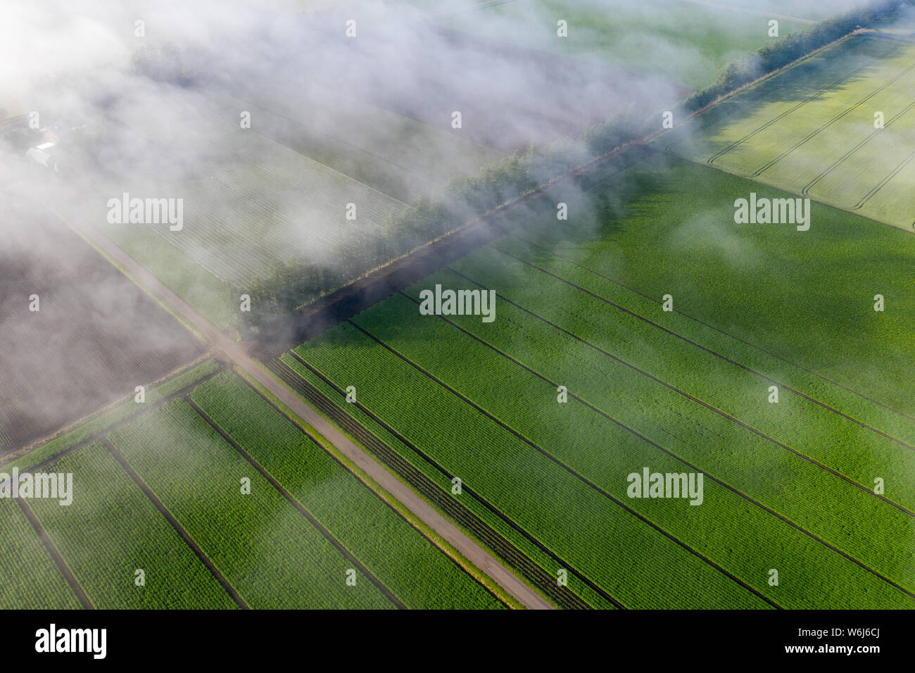 Tokachi in foggy day, Hokkaido, Japan Stock Photo - Alamy