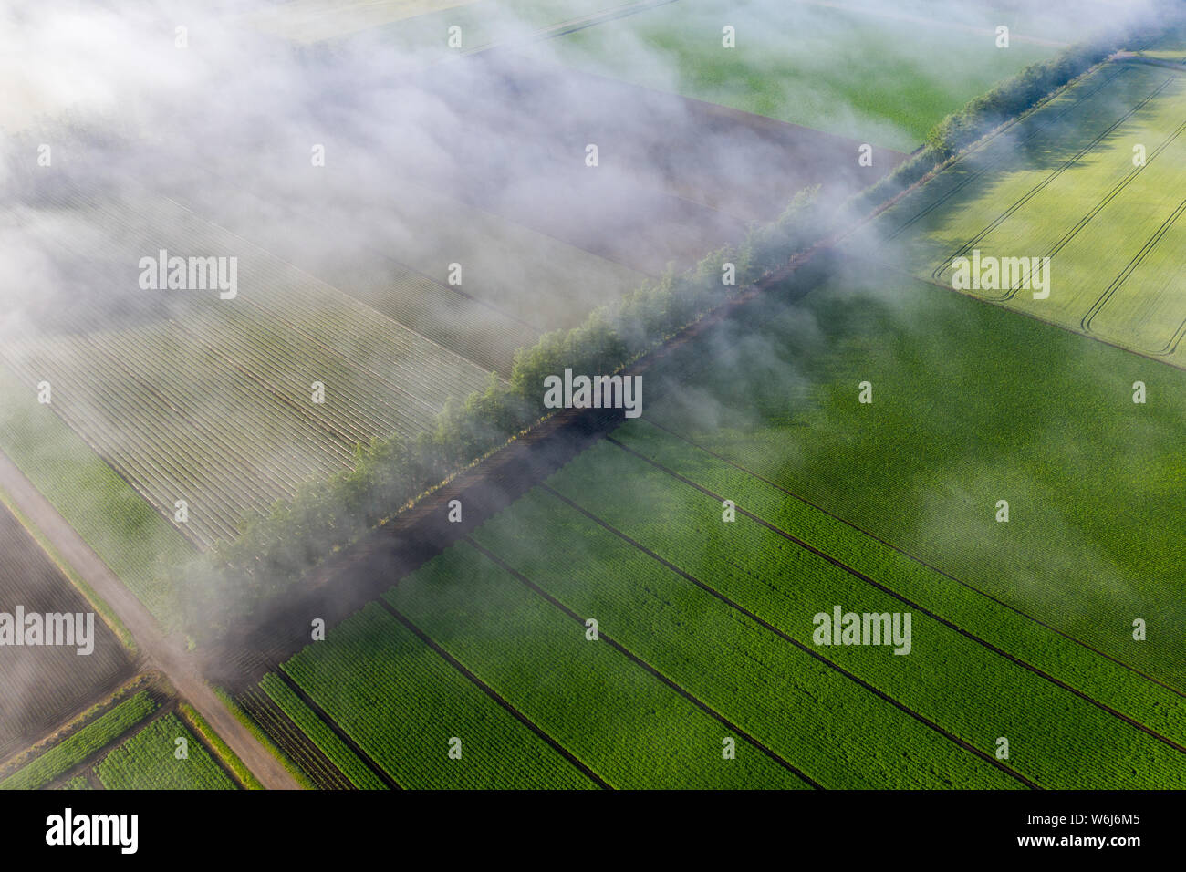Tokachi in foggy day, Hokkaido, Japan Stock Photo - Alamy