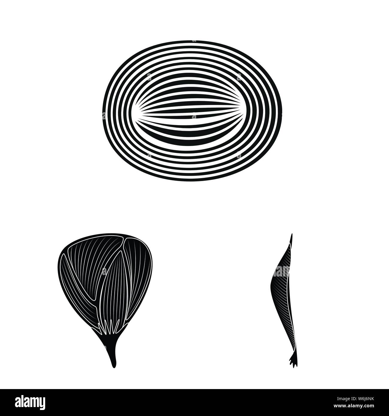 Isolated object of human and body icon. Collection of human and cells ...