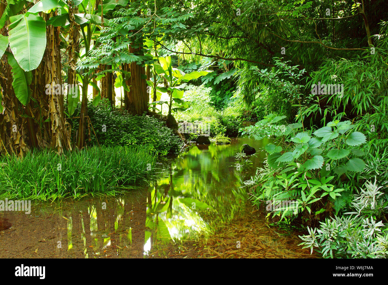 Suizenji Ezuko Park, Kumamoto Prefecture, Japan Stock Photo - Alamy