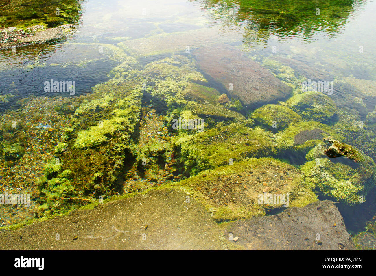 Kashima town spring water park hi-res stock photography and images - Alamy