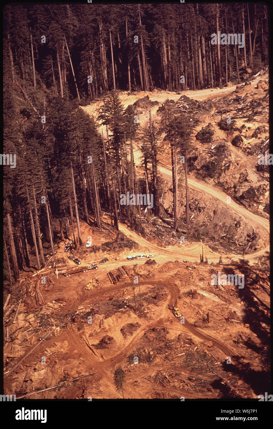 Lumber roads hi-res stock photography and images - Alamy