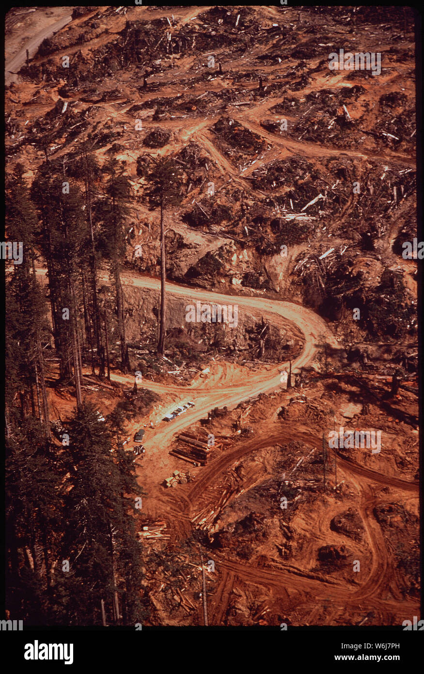 Lumber roads hi-res stock photography and images - Alamy