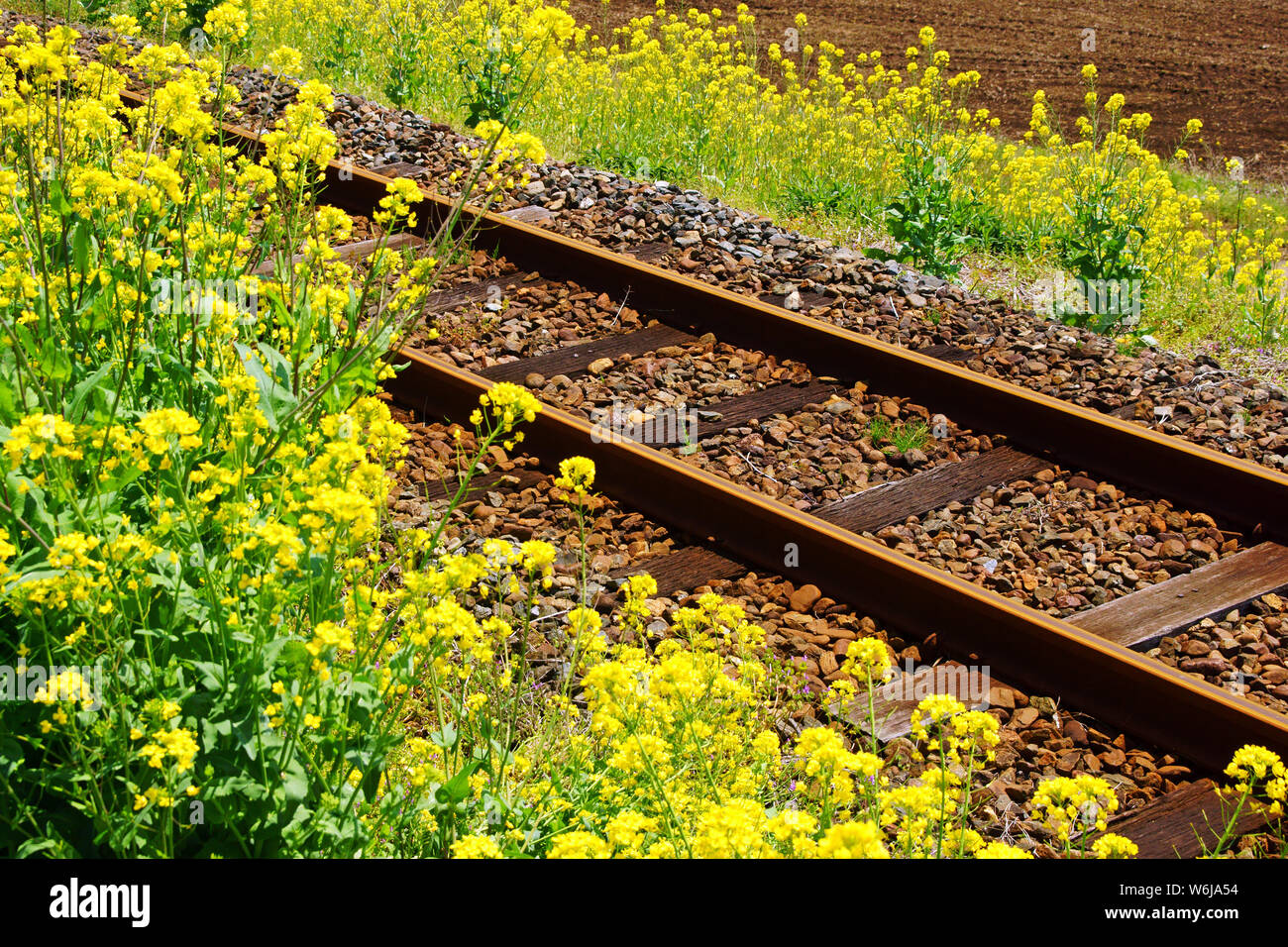 Minami line hi-res stock photography and images - Alamy