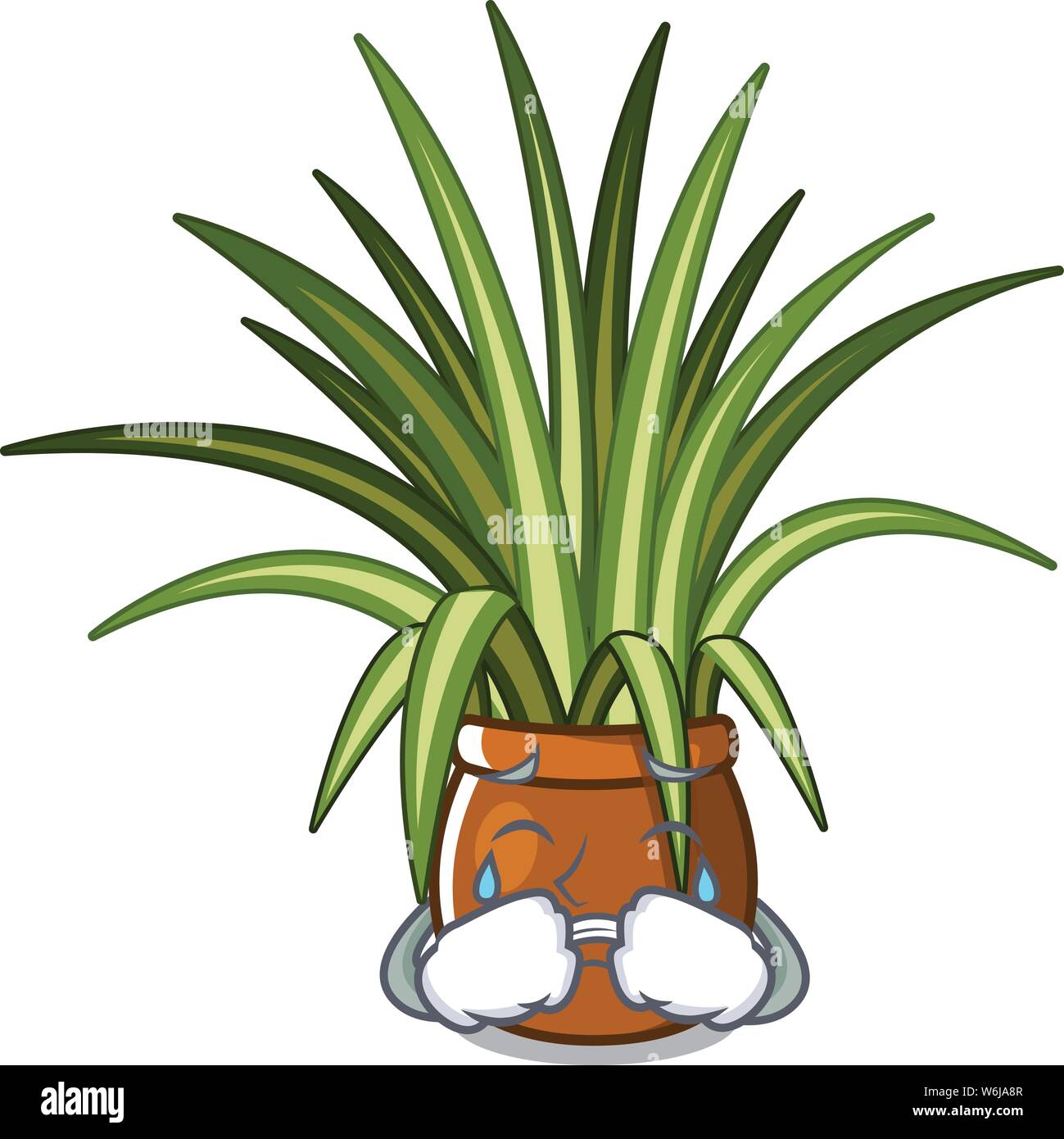 Crying spider plants in a cartoon pots Stock Vector Image & Art - Alamy