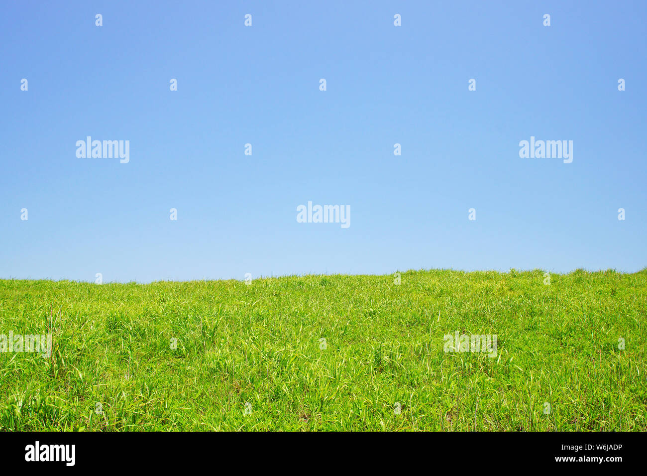 Grass field at Aso, Kyushu Prefecture, Japan Stock Photo - Alamy