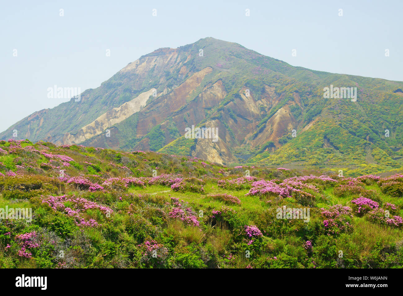 Eboshi hi-res stock photography and images - Alamy