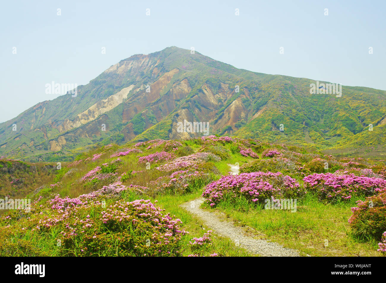 Eboshi hi-res stock photography and images - Alamy