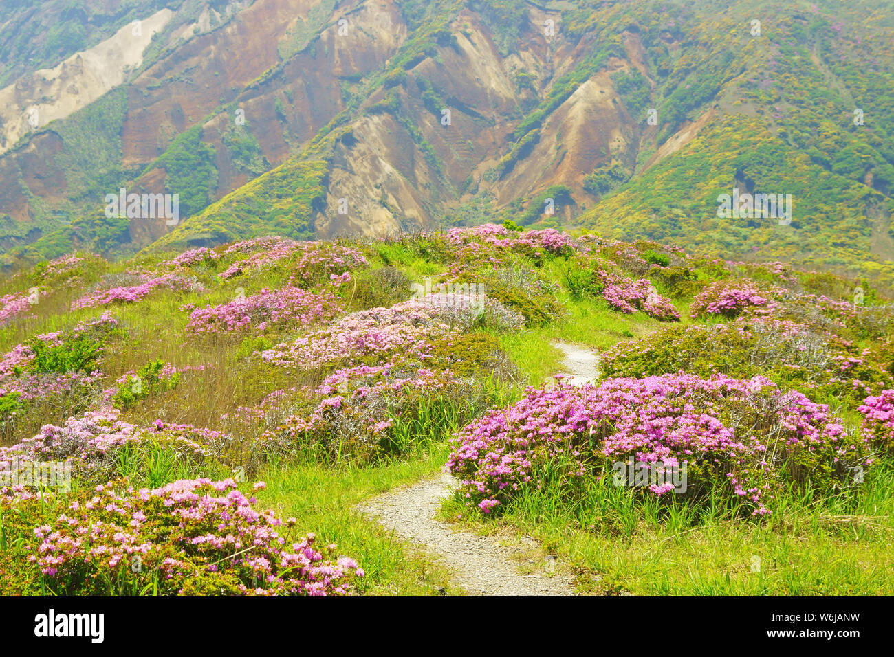 Eboshi hi-res stock photography and images - Alamy