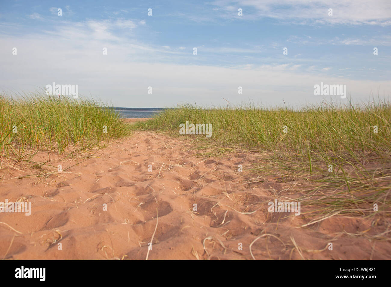 The grassy path down to a beach on the east coast Stock Photo - Alamy