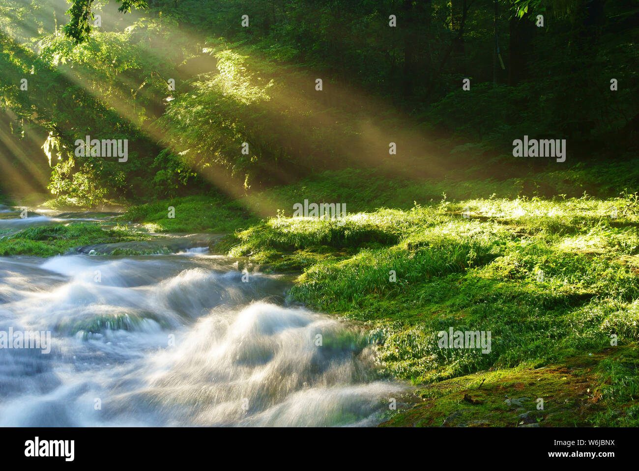 Kikuchi Gorge, Kumamoto Prefecture, Japan Stock Photo - Alamy