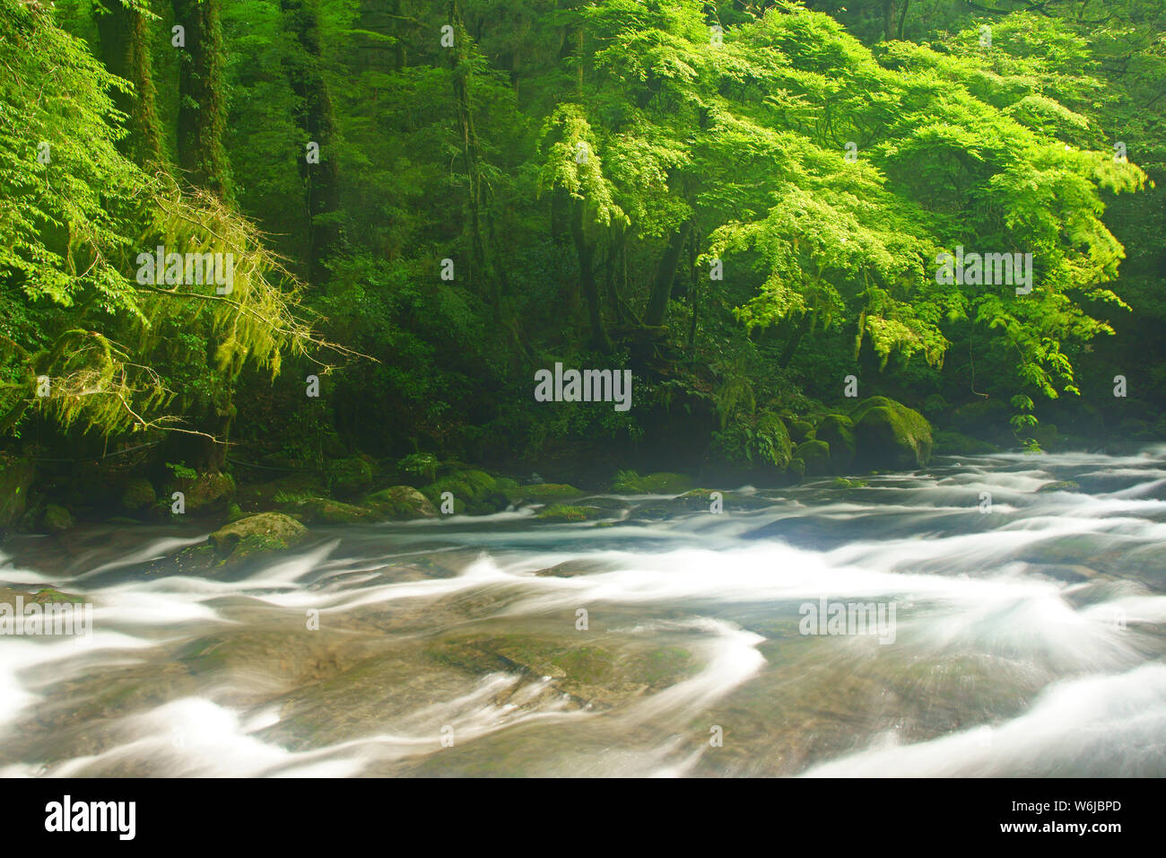Kikuchi Gorge, Kumamoto Prefecture, Japan Stock Photo - Alamy