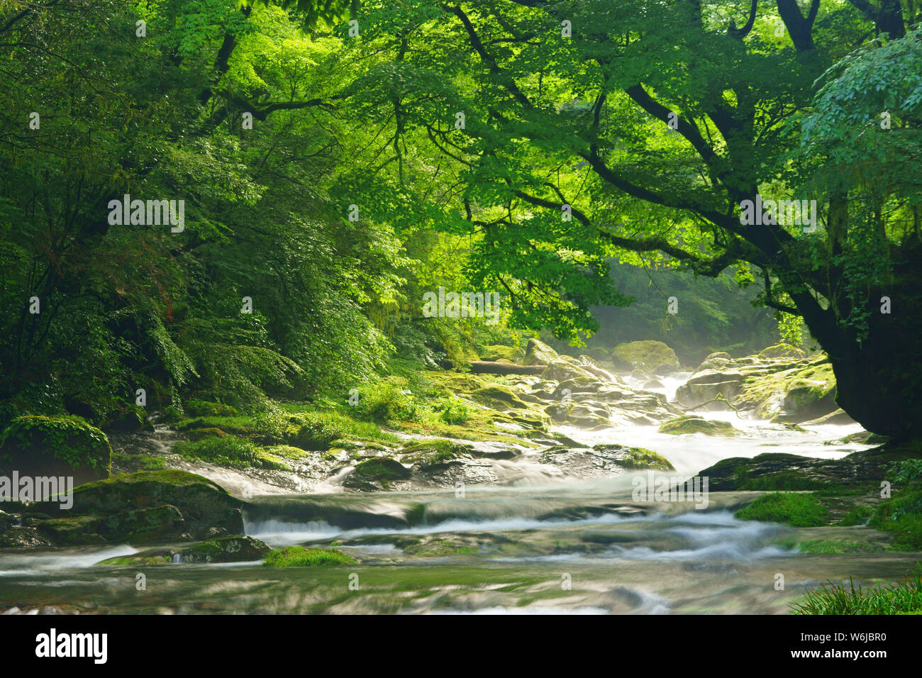 Kikuchi Gorge, Kumamoto Prefecture, Japan Stock Photo - Alamy